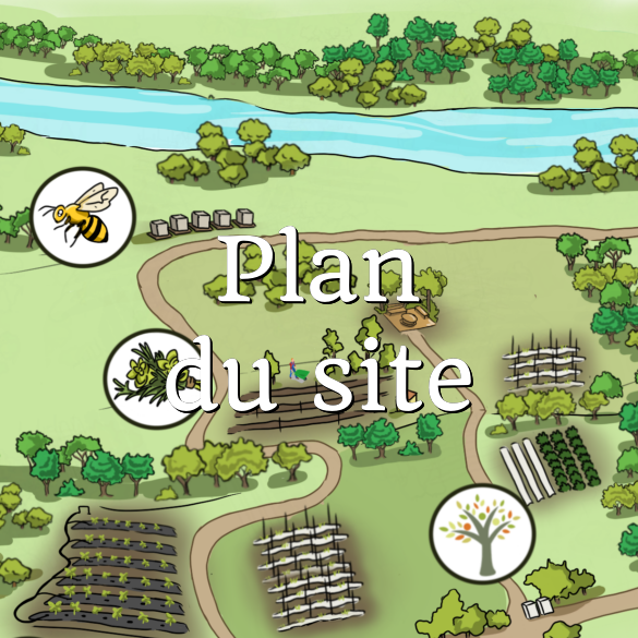 Plan de la ferme | Terra d'Estrelles